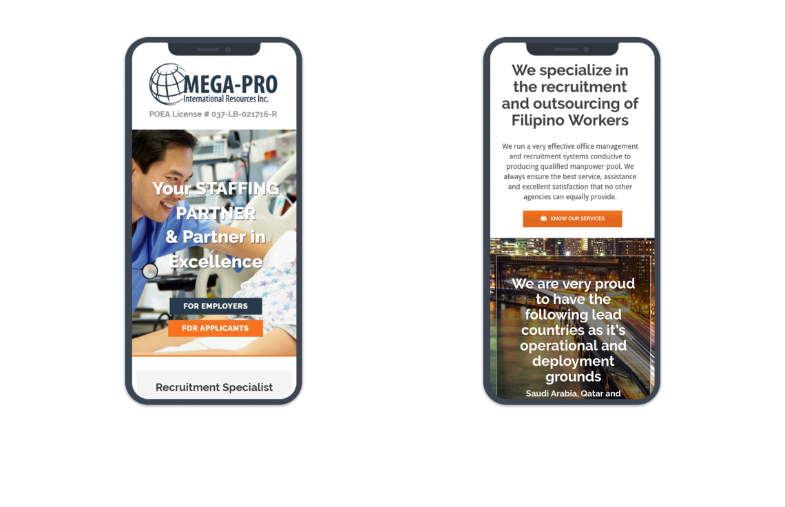 Mega-Pro International - WAZILE Inc.