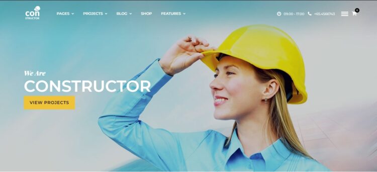 Top 20 Construction & Architecture Industry WordPress Themes for Your ...
