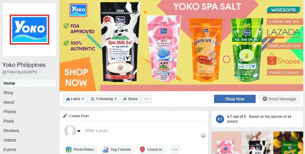 Yoko Philippines | WAZILE Inc. Work & Portfolio